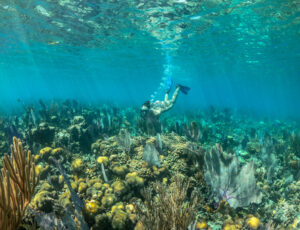 Private Island Resort in Belize | Ray Caye Island Escape